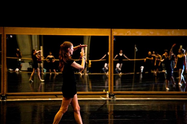 Introduction to Ballet / LIBBY FARR | DanceLife.sk